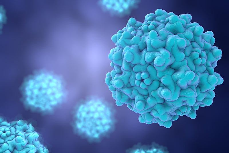 Viral Vectors – Single Use Support